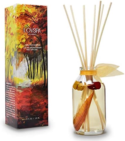 Amazon.com: LOVSPA Heirloom Pumpkin Reed Diffuser Set - Fall Scent Reed ...