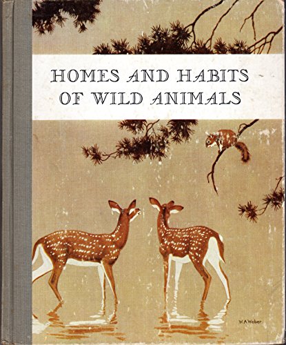 Free Lapbook Wild Animals for Kids Who Love Hands-on Science