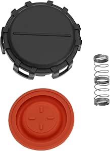 SG Store 1 Set Engine Valve Cover Wastegate Cover 0248L1 0248.L1 ...