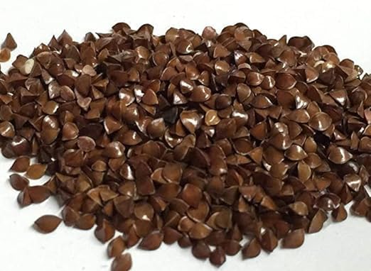 Amazon.com : Seed Beej Band (100 g) : Grocery & Gourmet Food