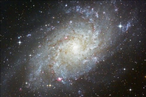 Orion 08296 10-Inch f/3.9 Newtonian Astrograph Reflector Telescope ...
