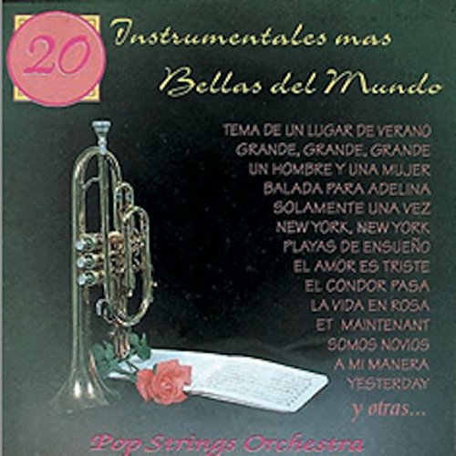 Amazon.com: Los 20 Temas Instrumentales Mas Bellos del Mundo : Pop ...