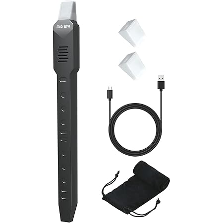 Amazon.com: KONIX DC02 Digital Wind Instrument, Mini Electronic Wind ...