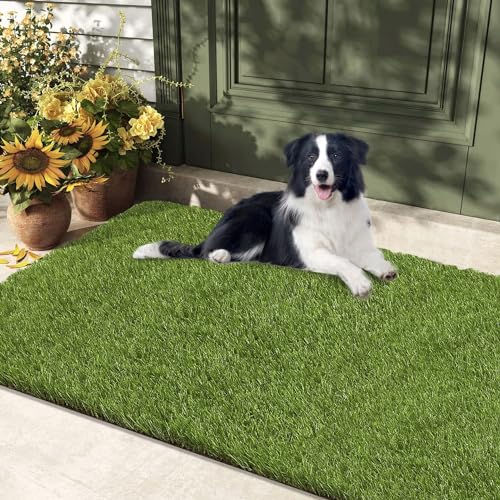 10 Best Area Rugs For Dogs That Pee