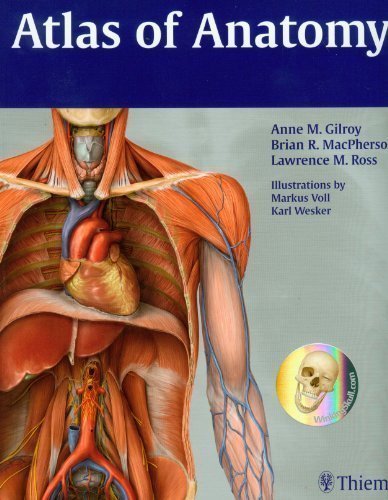 Atlas of Anatomy (Thieme Anatomy) 1st (first) Edition by Gilroy, Anne M ...