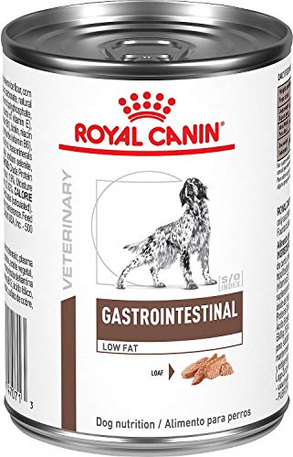 10 Best Dog Foods to Combat Obesity - A Comprehensive Review and Buying ...