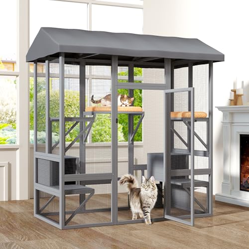 Cat Enclosure – The 15 best products compared - Wild Explained
