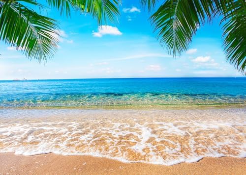 Amazon.com : Humkat Hawaiian Beach Ocean Backdrop, 7X5FT Cloth Fabric ...
