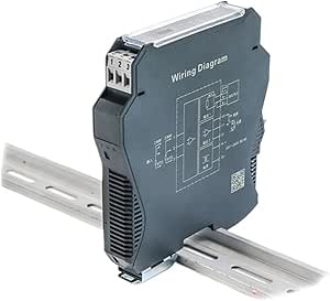 Amazon.com: CAARLA Signal Isolation Transmitter Rtd Input Isolated ...