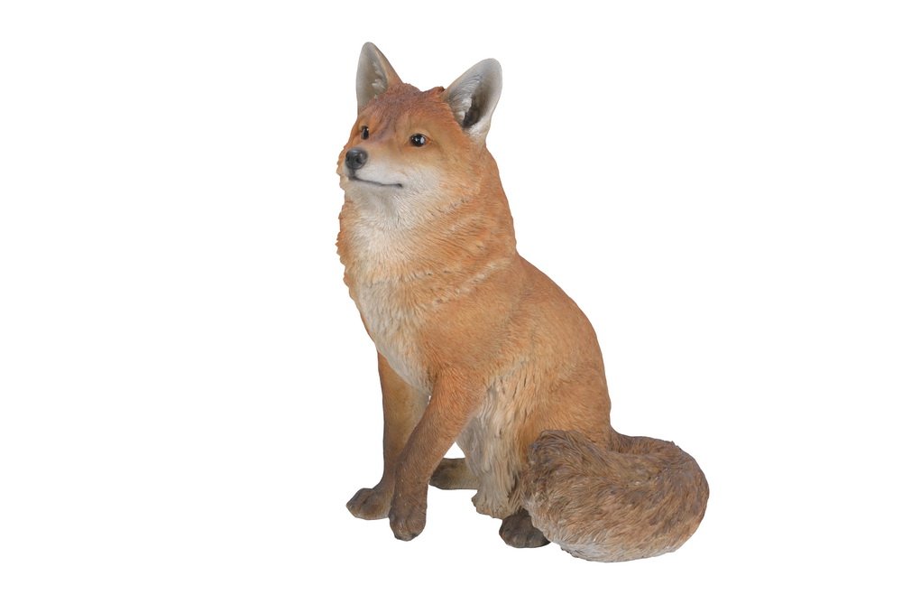 Amazon.com: Hi-Line Gift Ltd Sitting Fox Statue : Home & Kitchen