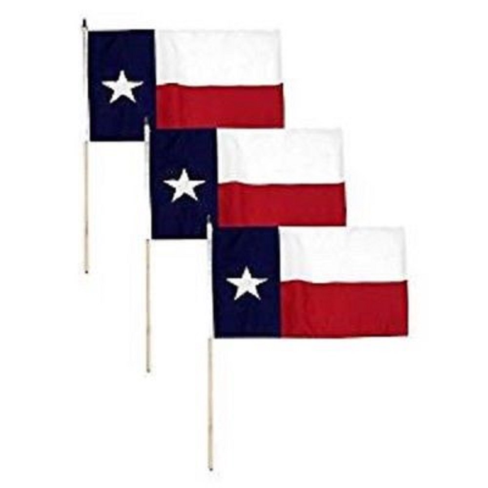 Amazon.com : AES 8x12 Texas State Whole Sale Lot of 3 Stick Flags 8"x12 ...