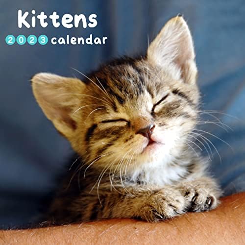 Amazon.com: Yasest Cute Kittens Wall Calendar 2023 Monthly | 11" x 16.5 ...
