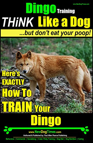 Dingo Training | Think Like a Dog, But Don’t Eat Your Poop! |: Here's ...