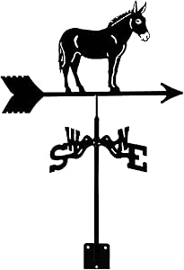 Amazon.com : ANCNA-U Metal wind vane Garden Stake Weather Vane ...