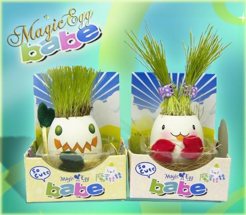 Amazon.com: Magic Egg Baby- These Adorable Eggs Are Housed on a Bed of ...