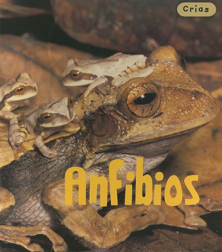 Anfibios/ Amphibians (Crias/ Animal Babies) (Spanish Edition ...
