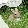 Amazon.com: 3 Pcs Bunny Decor Figurines Garden Decorations, Cute Bunny ...