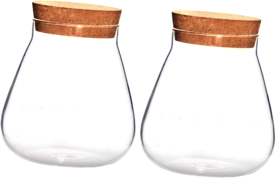 Amazon｜NUOBESTY 2個 製 ープボトル 植 成用 コルク栓付 水 栽培用 レー 鉢｜茶筒 オンライン通販