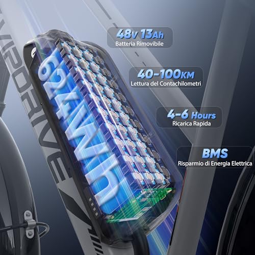 Vipdrive Bici Elettrica Uomo - ConsiglioPro.it