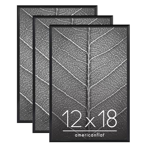 Snapklik.com : Americanflat 12x18 Poster Frame In Black - Set Of 3 ...