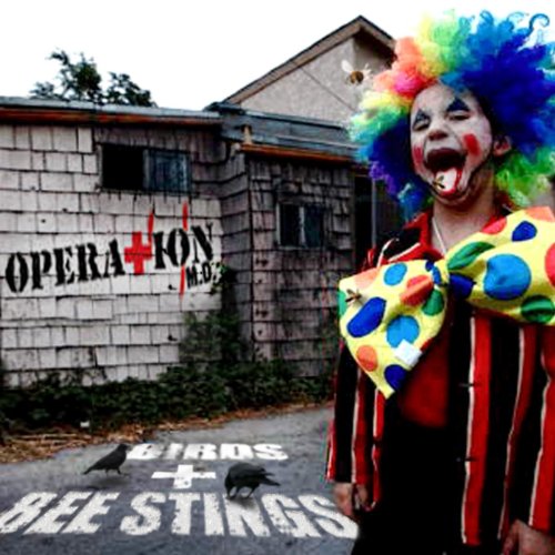 Amazon.com: Birds + Bee Stings : Operation MD: Digital Music