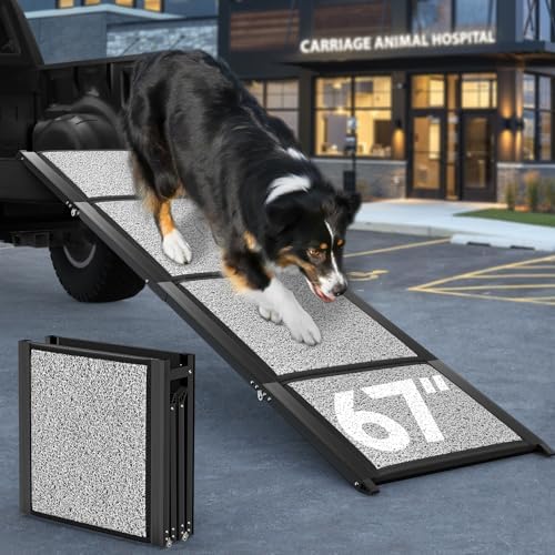 PetSafe Happy Ride Deluxe Telescoping Dog Ramp for Cars, Trucks, & SUVs ...