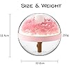 Amazon.com: Preserved Flower Portable Humidifier,270ml Capacity ...