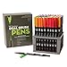 Tombow Dual Brush 96-Piece Pen Set, Professional Marker Desk Set with ...
