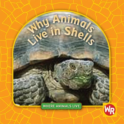Why Animals Live in Shells (Where Animals Live) : Weber, Valerie J ...