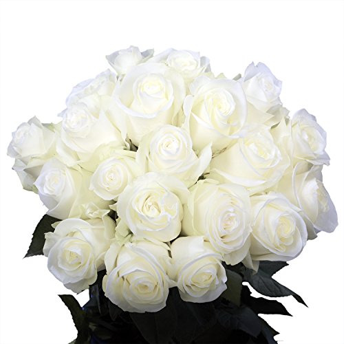 The Beauty and Significance of White Roses: A Guide to This Timeless ...