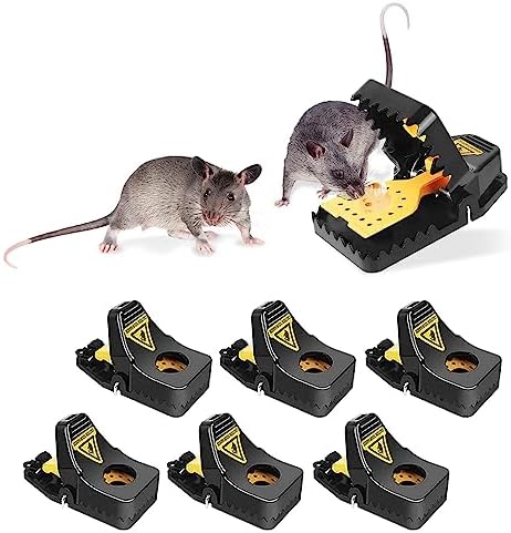 Novali Pack of 6 Mouse Trap - Mouse Traps for Indoors and Outdoor ...