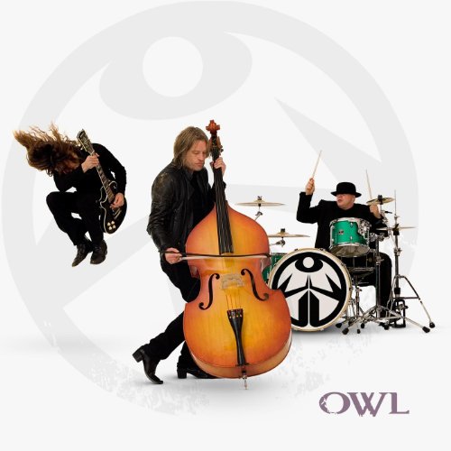 Amazon.co.jp: Owl : Owl: Digital Music