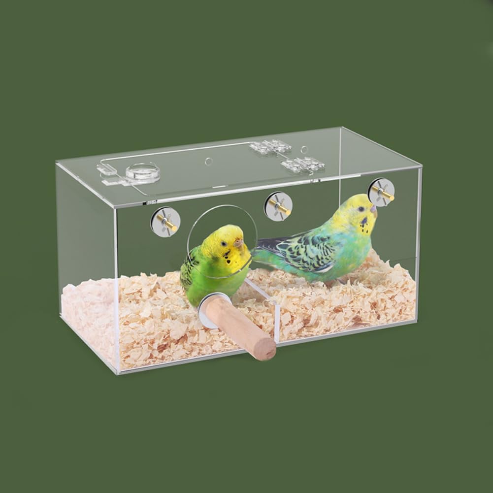 Amazon.com : Bird Breeding Box, Transparent Acrylic Parrot Nesting Box ...