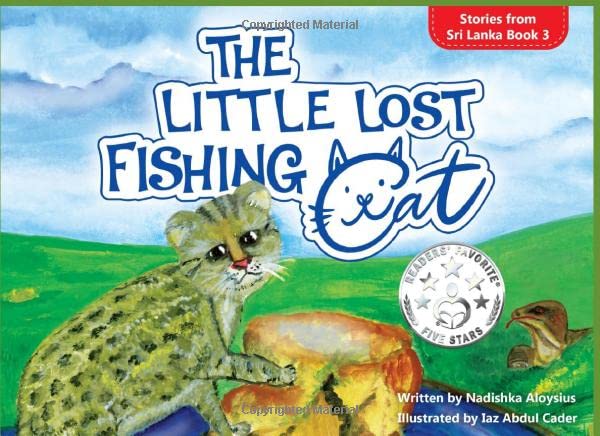 The Little Lost Fishing Cat: Picture Book for Kids Age 4 - 9 about ...