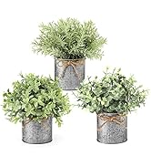 Amazon.com: Mkono 4 Packs Small Fake Plants in Farmhouse Galvanized ...