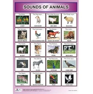 Buy Sounds of Animals Chart for kids (Animal Sounds Chart) Book Online ...