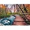 Amazon.com: BEDUKE Jigsaw Puzzles 1000 Pieces for Adults 1000 Piece ...