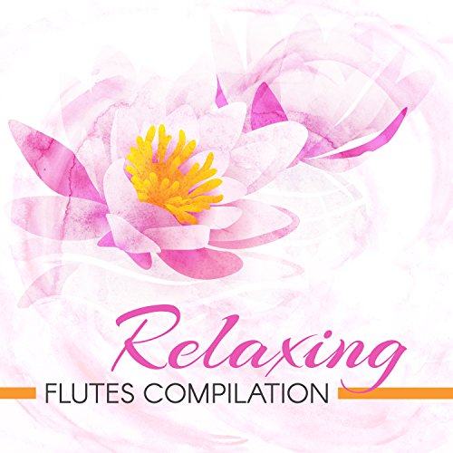 Relaxing Flutes Compilation: Best Collection of 10 Different Types of ...