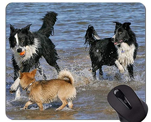LAMS Dogs German Shepherd Puppies Gaming Mouse Pads,Border Collie Mouse ...