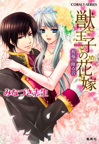 Amazon.com: (Bride series of beast prince) valley Furu bride blessing ...