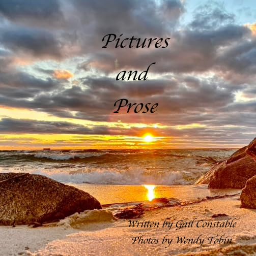 Pictures and Prose: Gail Constable, Wendy Tobin: 9798211044760: Amazon ...