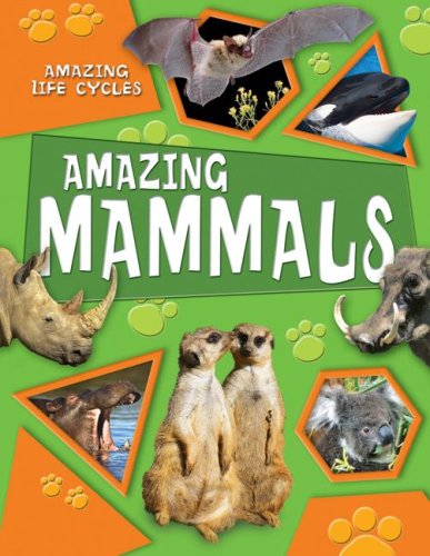 Amazing Mammals (Amazing Life Cycles): Head, Honor: 9780836888966 ...