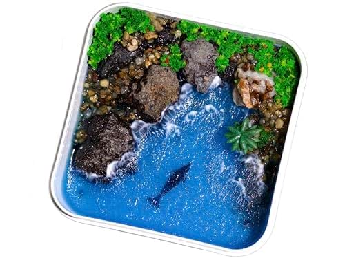 Amazon.com: Miniature landscape model Miniature Landscape Box -Bay ...