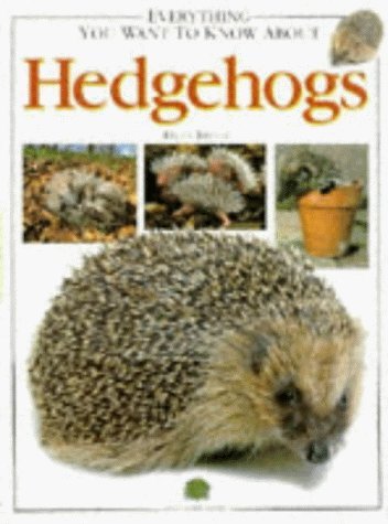 Everything You Want to Know About Hedgehogs: Amazon.co.uk: Breese ...