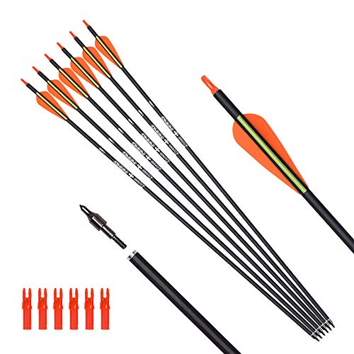 Snapklik.com : Hunter Ian Archery Carbon Arrow Hunting Arrows 30 Inch