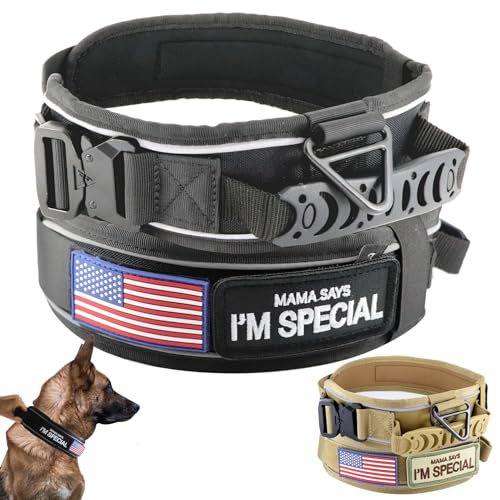 10 Best Tactical Dog Collars