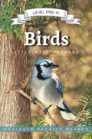 Little Wild Readers: Birds: Nonfiction Early Reader Level: Pre-k ...