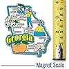 Amazon.com: Georgia Jumbo State Magnet by Classic Magnets, 3.2" x 3.7 ...