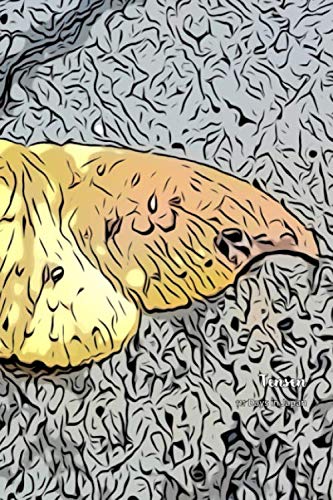 Tensen (111 Days in Japan): Morgado, Alexandre: 9781697726572: Amazon ...