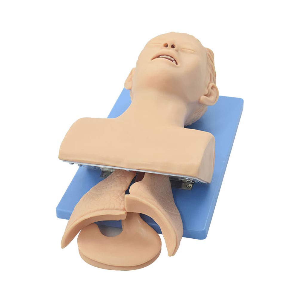 Buy UIOF Tracheal Intubation Model Electronic Tracheal Intubation ...